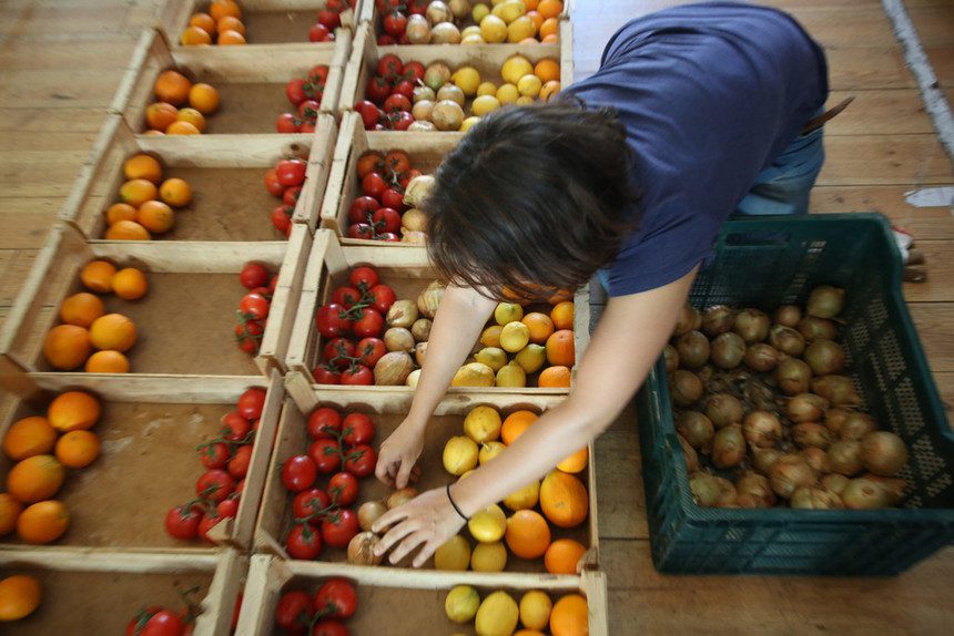 # Fruta Feia vence o Prémio LIFE para o Ambiente da União Europeia ...